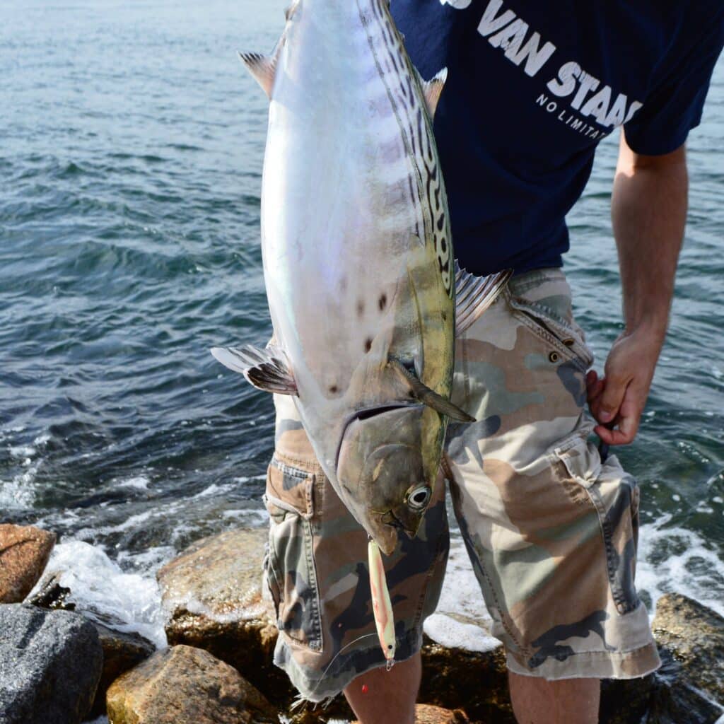 Naturalist’s Corner – Fishing! – Wareham Land Trust