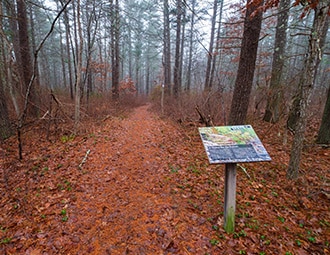 About Us – Wareham Land Trust