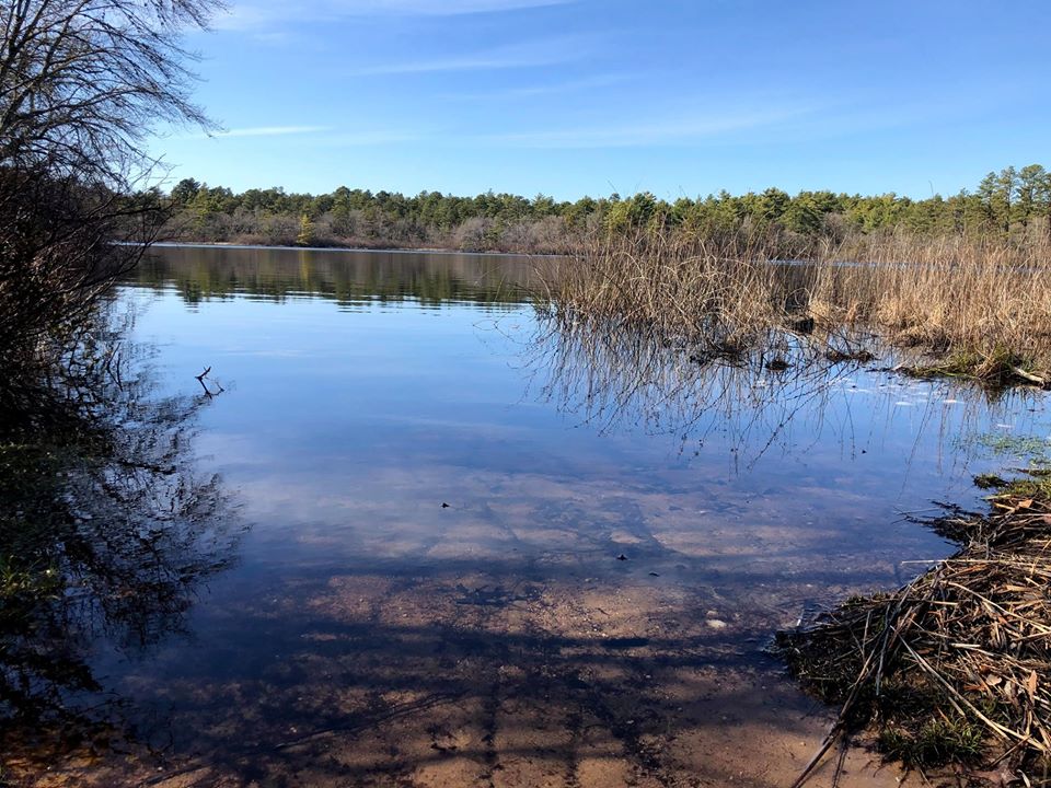 Property Spotlight – Whitlock’s Landing – Wareham Land Trust